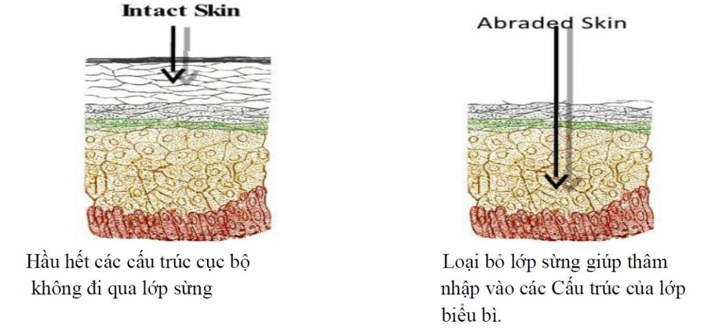 intact-skin – Giải Pháp Toàn Diện Cho Làn Da